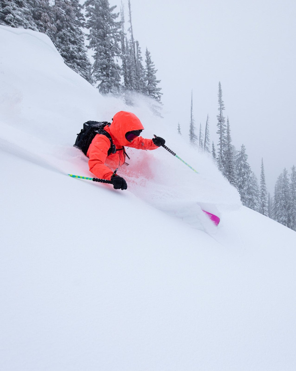 Mirus Cor – blackcrows